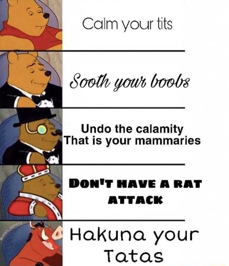 Calm your tits Undo the calamity That is your mammaries DON'T HAVE A ...