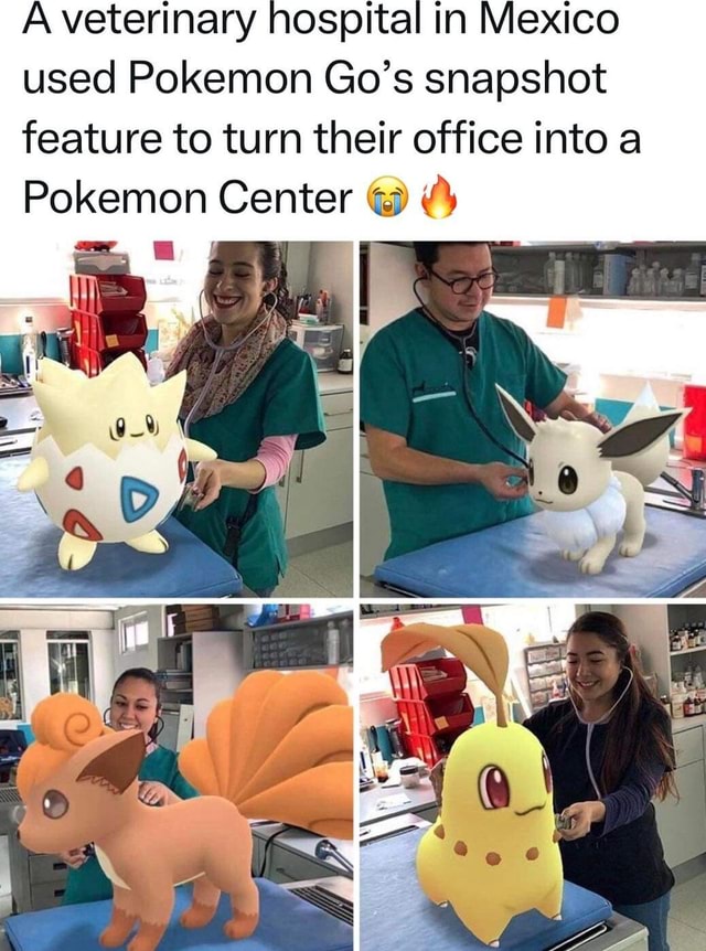 Veterinary hospital in Mexico used Pokemon Go's snapshot feature to ...