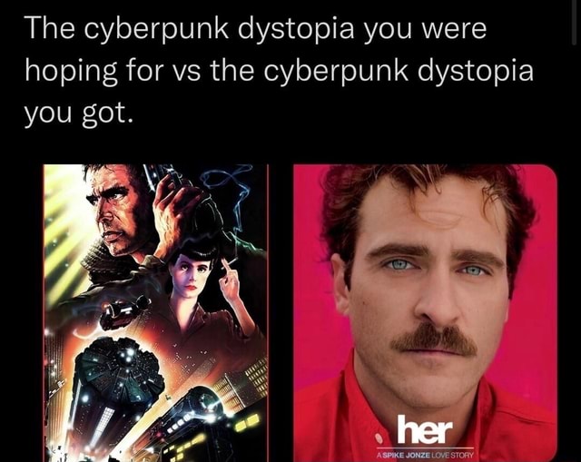 The cyberpunk dystopia you were hoping for vs the cyberpunk dystopia ...
