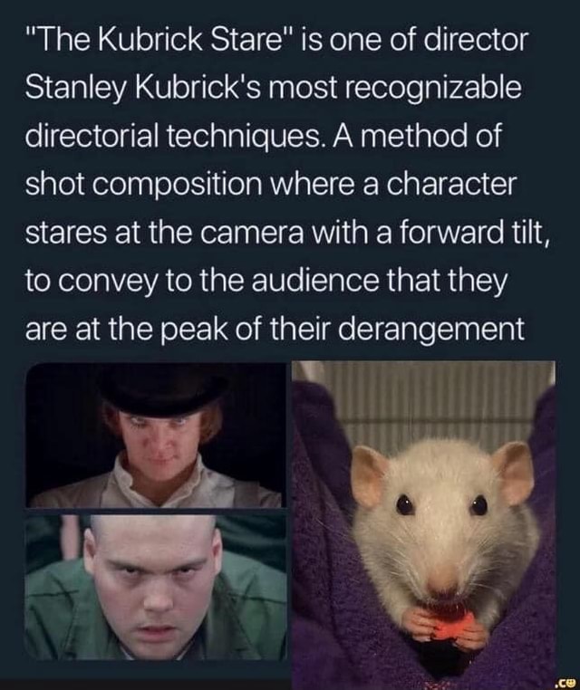"The Kubrick Stare" is one of director Stanley Kubrick's most ...