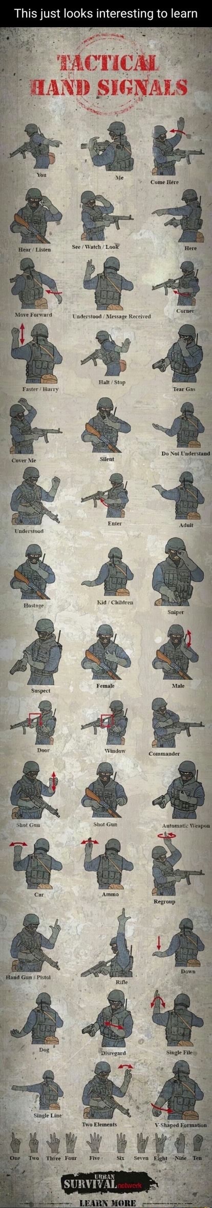 This just looks interesting to learn HAND SIGNALS 'See /Wateh / Look ...