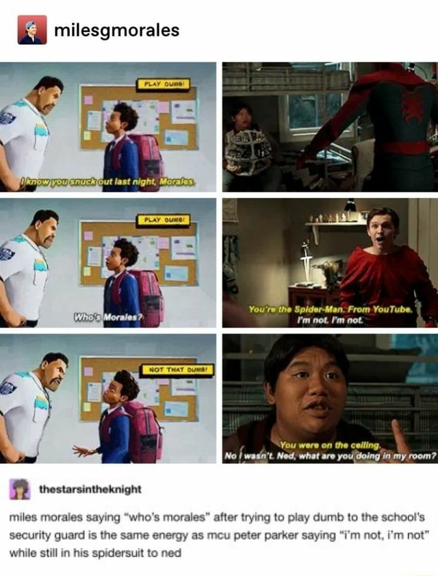 Rmles morases Saying “who's morales" aher uymg to play dumb lo the ...