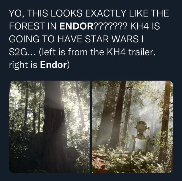 (left is from the trailer, right is Endor) YO, THIS LOOKS EXACTLY LIKE ...