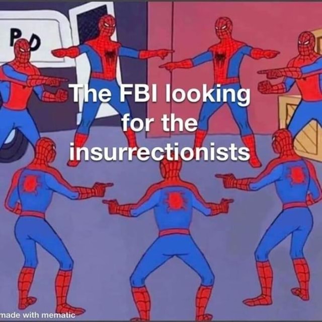 The FBI looking for the insurrectionists nade with mematic - iFunny