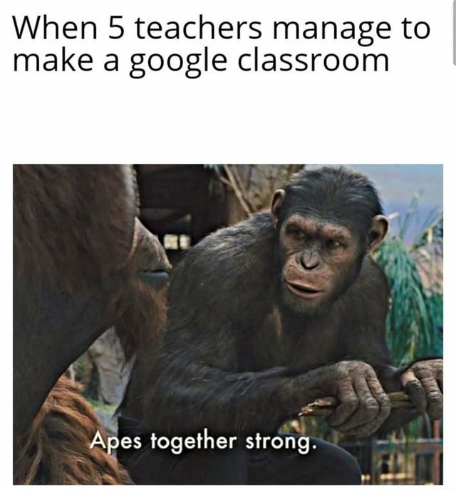 when-5-teachers-manage-to-make-a-google-classroom-apes-together-strong