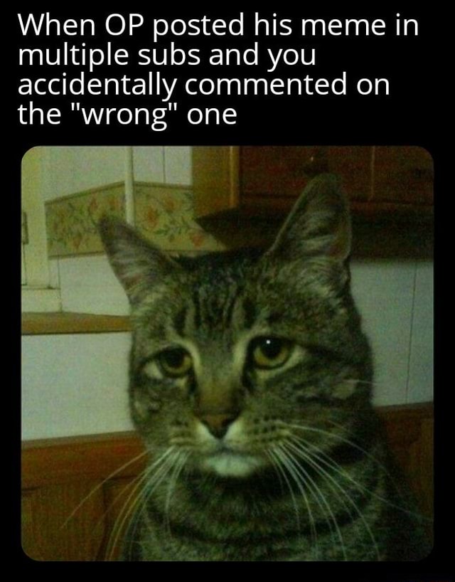 When OP posted his meme in multiple subs and you accidentally commented ...