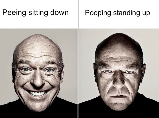 Peeing sitting down Pooping standing up - iFunny