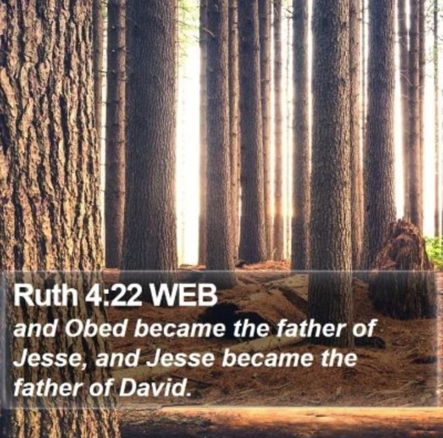 Jesse, and Jesse became the father of David. Ye - 22 WEB and Obed ...