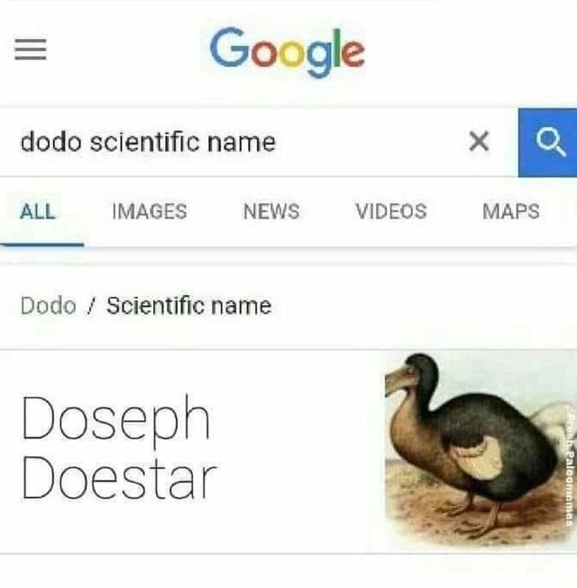 Dodo f Scientiﬁc name Doseph - iFunny