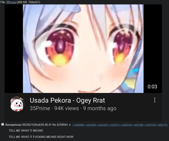 File: RN.png (492 KB, 750x557) Usada Pekora - Ogey Rrat TELL ME WHAT IT ...