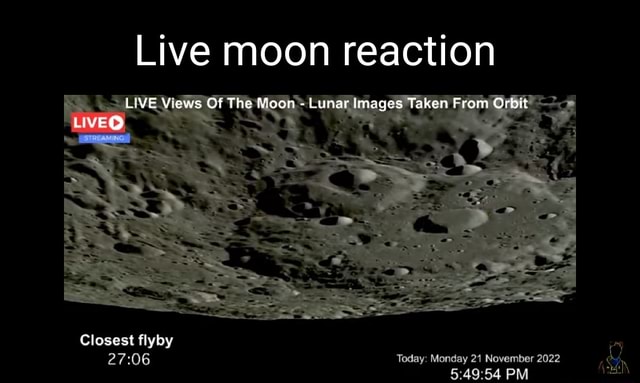Live moon reaction LIVE Views Of The Mocn - lunar Images Taken From ...