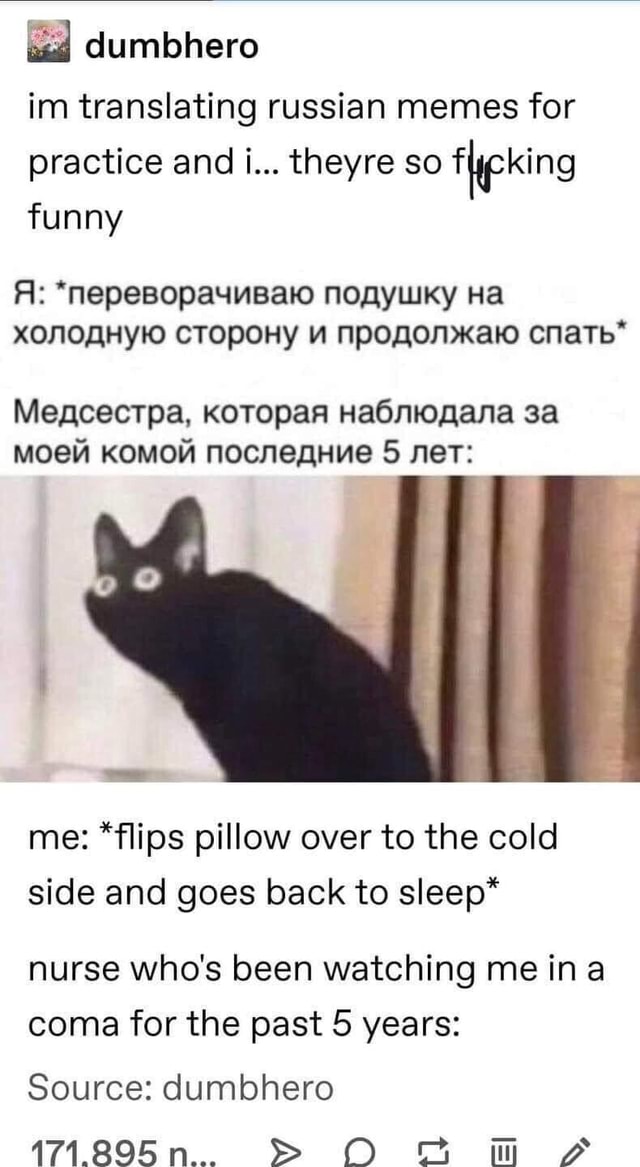 Tad dumbhero inn translating russian memes for practice and i... theyre ...