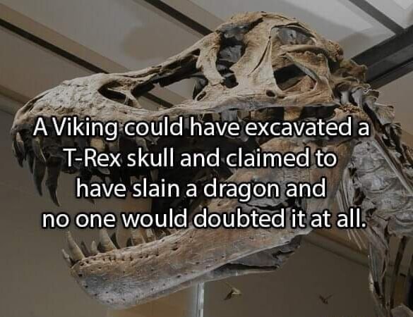 A Viking could have excavated a T-Rex skull and claimed to have slain a ...