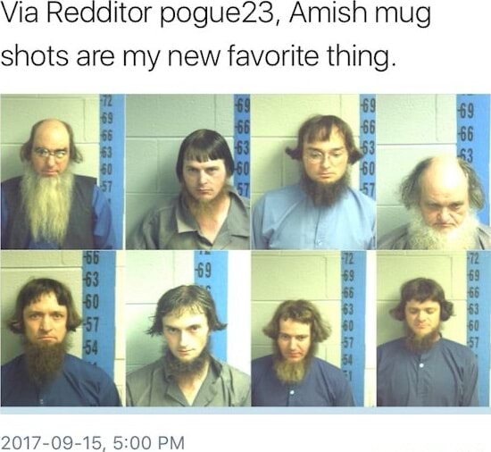 Ia Redaitor pogue23, Amish mug shots are my new favorite thing. I 2017 ...