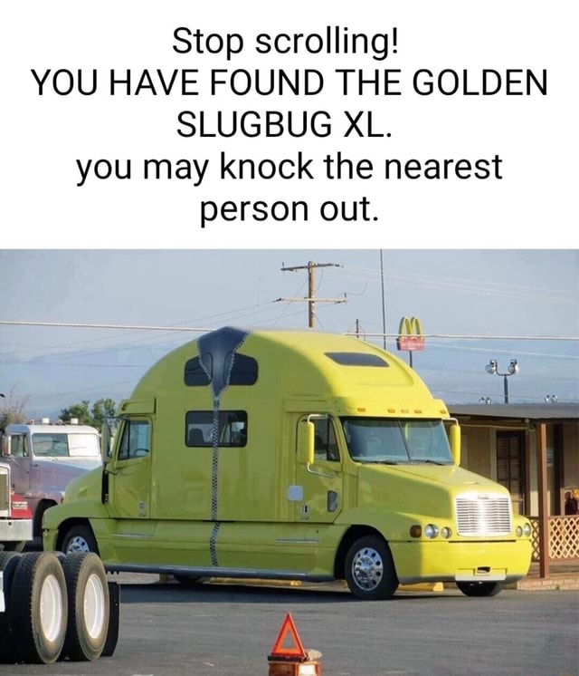 Stop scrolling! YOU HAVE FOUND THE GOLDEN SLUG BUG XL. you may knock ...