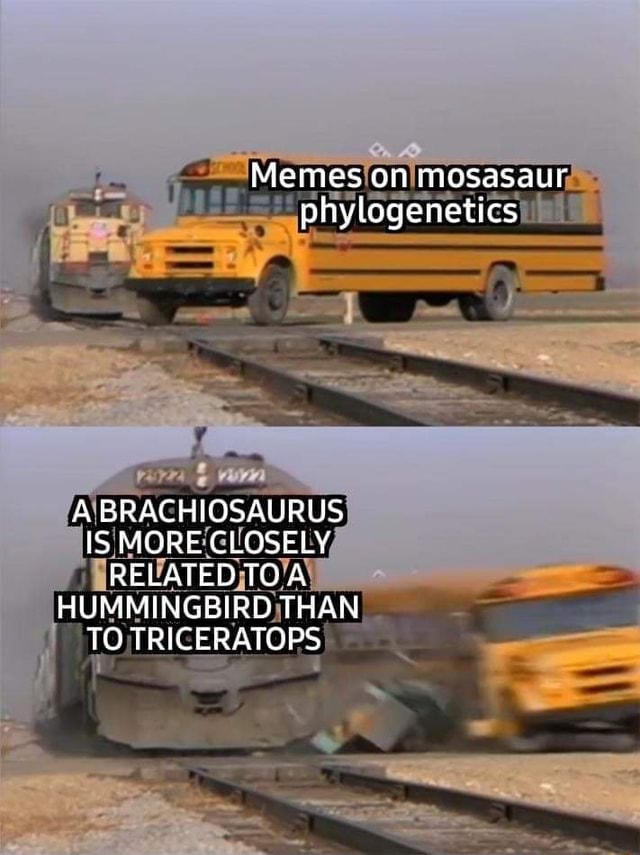 Memes on mosasaur phylogenetics A BRACHIOSAURUS IS MORE CLOSELY RELATED ...