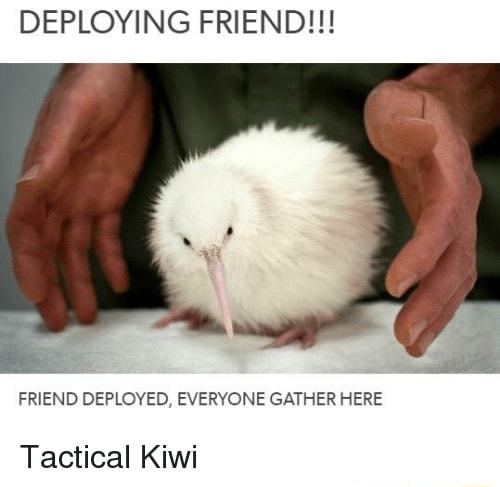 DEPLOYING FRIEND!!! FRIEND DEPLOYED, EVERYONE GATHER HERE Tactical Kiwi ...