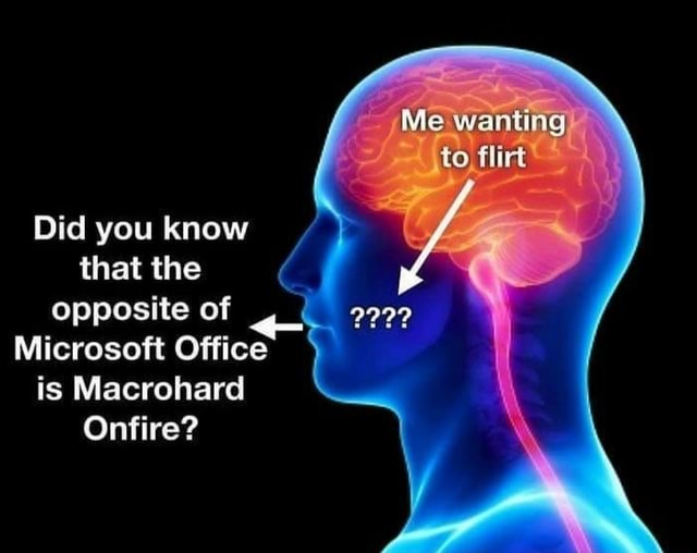 Me wantin that the oppositeof "I Microsoft Office is Macrohard Onfire ...