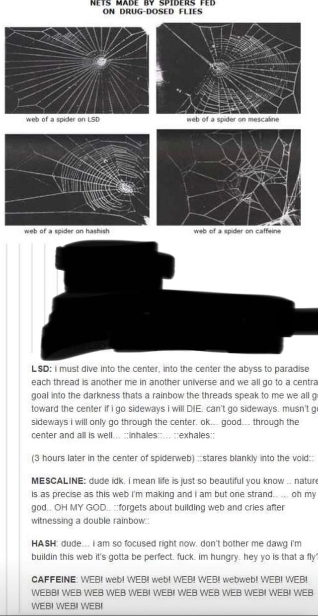 NETS MADE BY SPIDERS FED ON DRUG DOSED FLIES en web of a spider on LSD ...