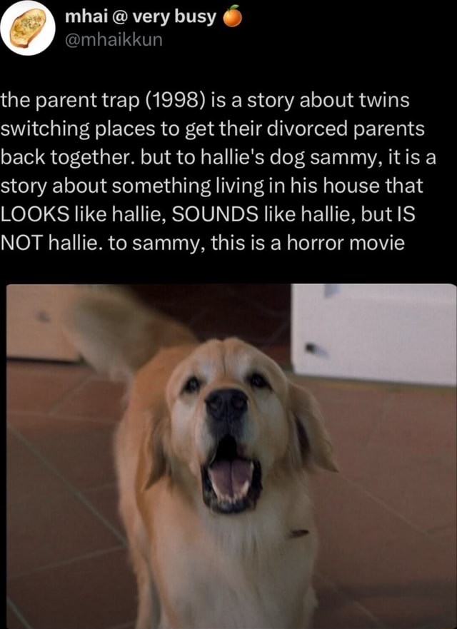 The parent trap (1998) is a story about twins switching places to get ...