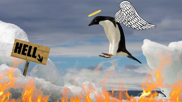 Pinguin flying above heck - iFunny