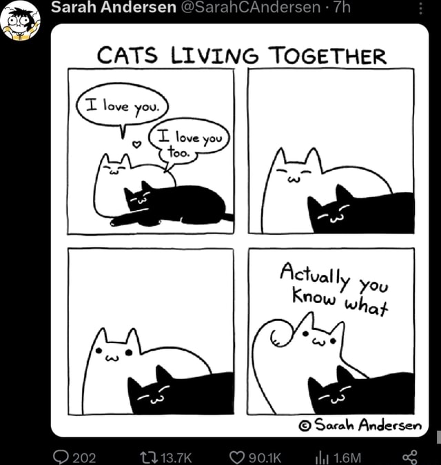 Sarah Andersen CATS LIVING TOGETHER Sarah Andersen - iFunny