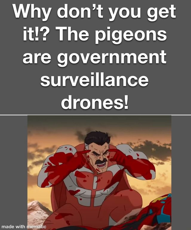 Why don't you get it!? The pigeons are government surveillance drones ...
