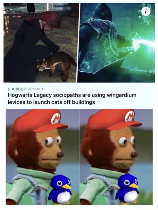 Hogwarts Legacy sociopaths are using wingardium leviosa to launch cats ...