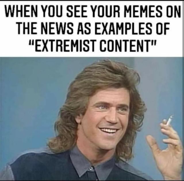 WHEN YOU SEE YOUR MEMES ON THE NEWS AS EXAMPLES OF "EXTREMIST CONTENT ...