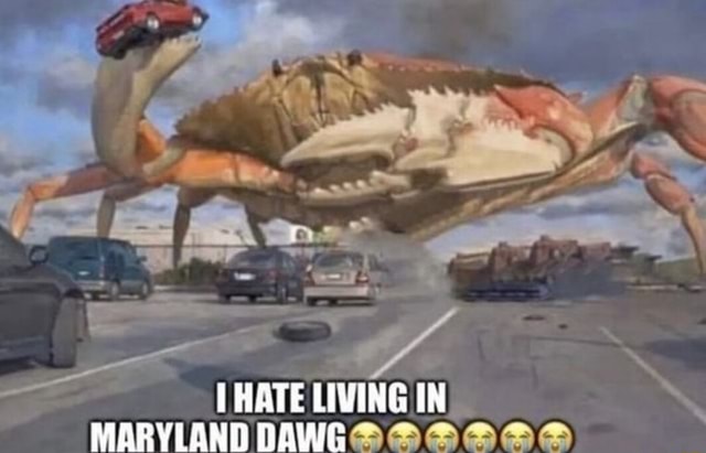 HATE LIVING IN MARYLAND DAWE - iFunny
