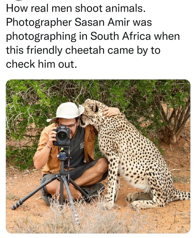 How real men shoot animals. Photographer Sasan Amir was photographing ...