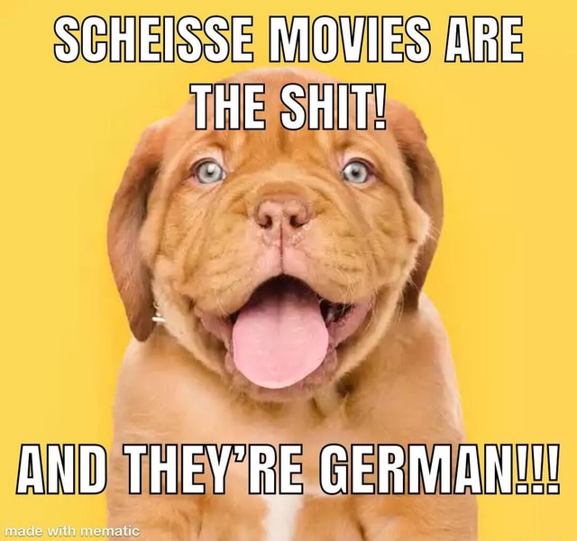 SCHEISSE MOVIES ARE THE SHIT! AND THEY'RE GERMAN!!! - iFunny