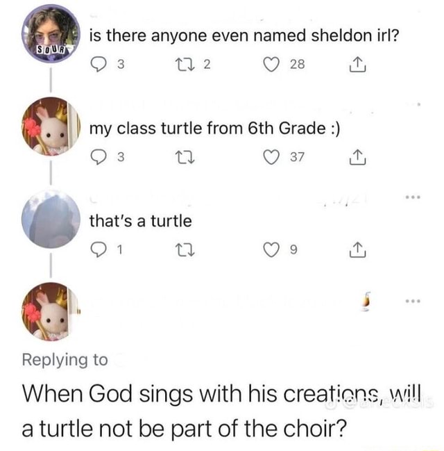 Is there anyone even named sheldon irl? 28 my class turtle from Grade ...