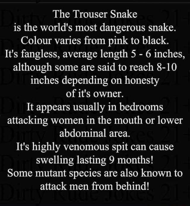 The Trouser Snake is the world's most dangerous snake. Colour varies ...