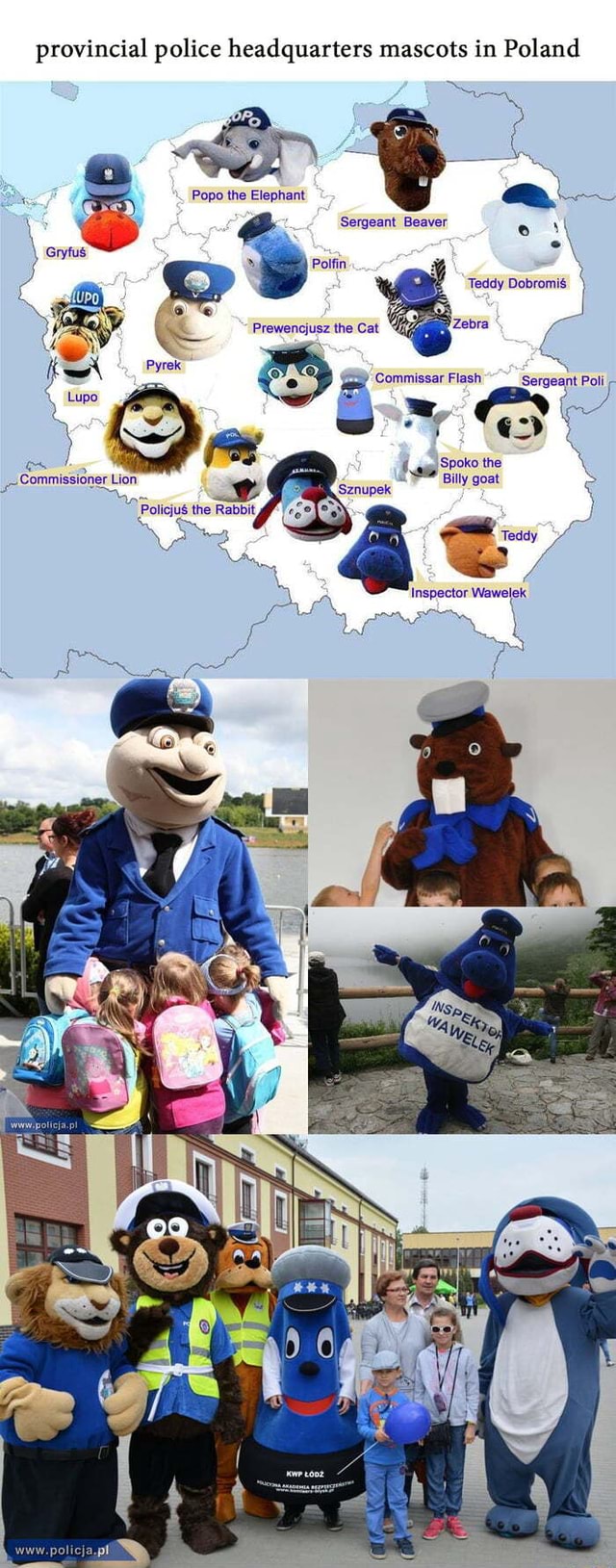 Provincial police headquarters mascots in Poland Popo the Grytus Lupe ...