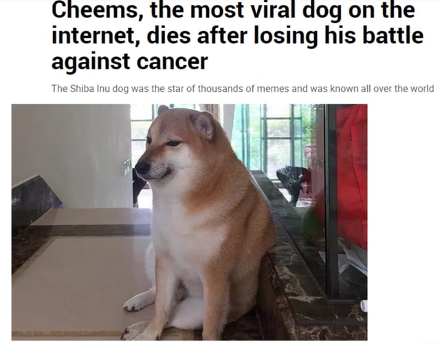 Eems, the most Viral on the internet, dies after losing his battle ...