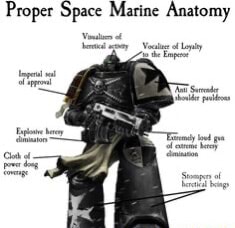 Proper Space Marine Anatomy - iFunny
