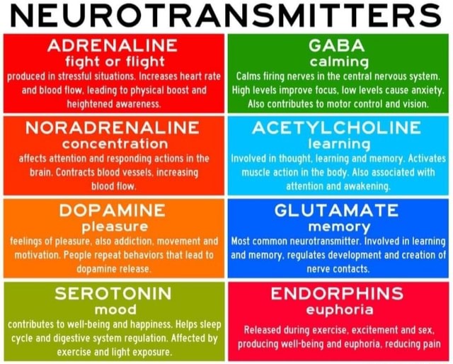 NEUROTRANSMITTERS ADRENALINE fight or flight produced in stressful ...