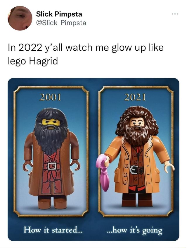 In 2022 y'all watch me glow up like lego Hagrid 2021 How it started ...