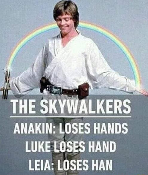 THE SKYWALKERS ANAKIN: LOSES HANDS LUKE LOSES HAND LEIA: LOSES HAN - iFunny