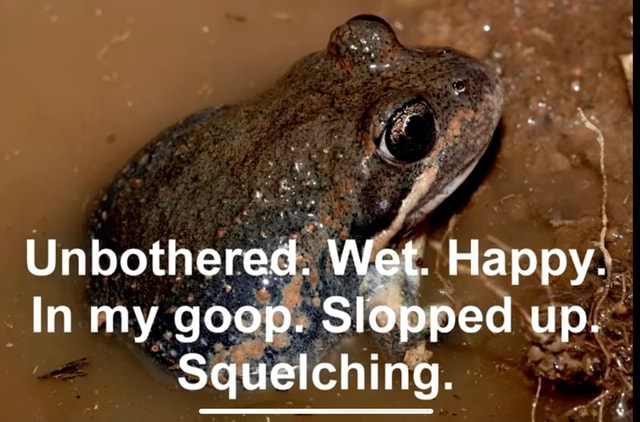 Unbothered. Wet. Happy. In my goop. Slopped up. Squelching. - iFunny