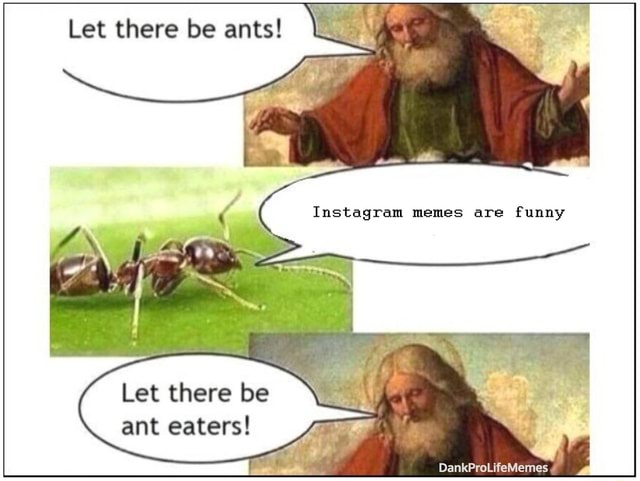 Let there be ants! Instagram memes are funny DankProLifeMemes Let there ...