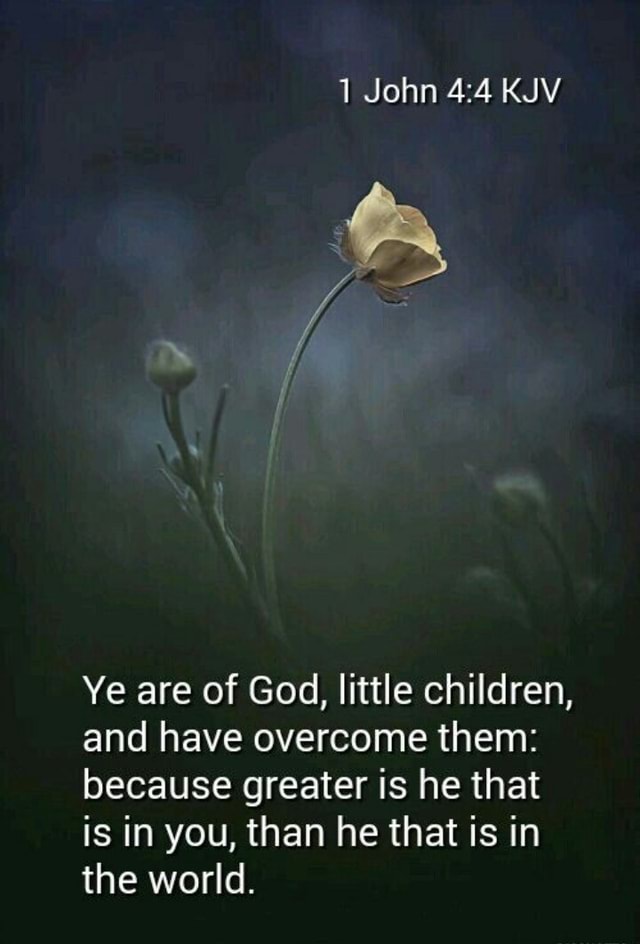 1 John KJV wi Ye are of God, little children, and have overcome them ...