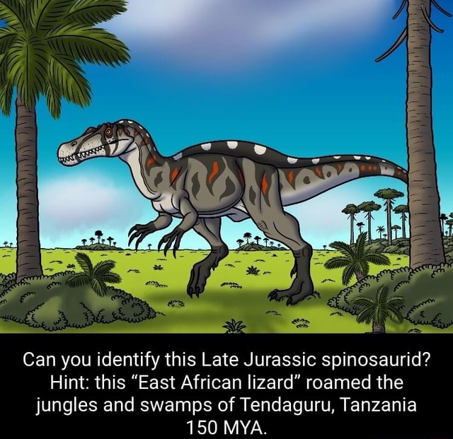 Can you identify this Late Jurassic spinosaurid? Hint: this "East ...