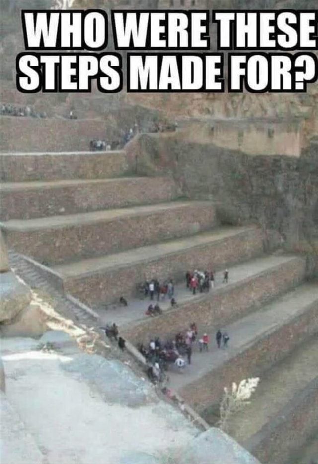 WHO WERE THESE STEPS MADE FOR? - iFunny