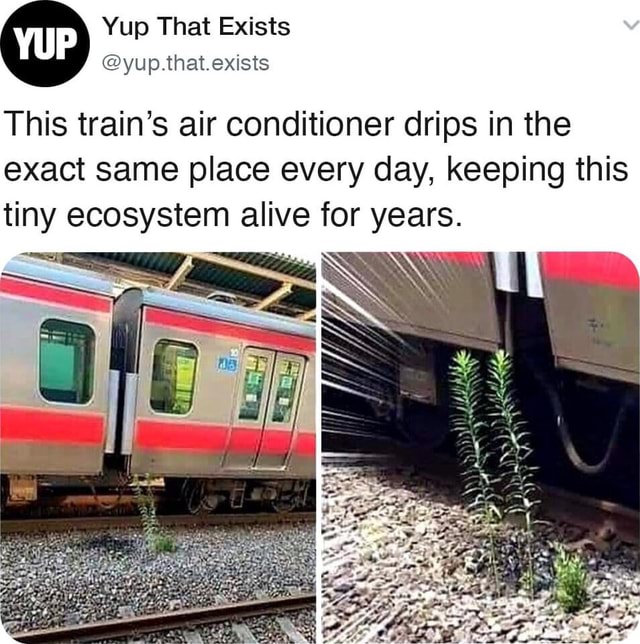 Yup That Exists This train's air conditioner drips in the exact same ...