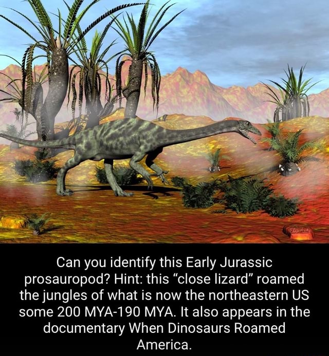Can you identify this Early Jurassic prosauropod? Hint: this "close ...