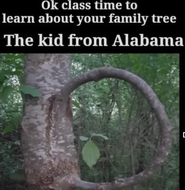 Learn about your family tree The kid from Alabama - iFunny