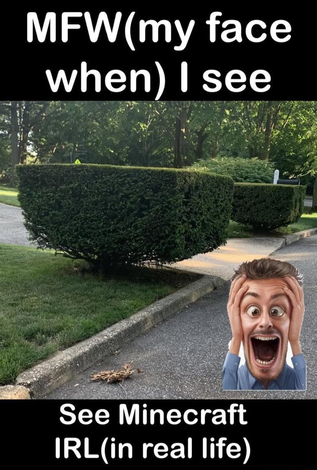 Face when) see 'See Minecraft real life) - iFunny