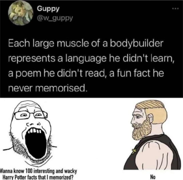 Guppy @w_guppy Each large muscle of a bodybuilder represents a language ...